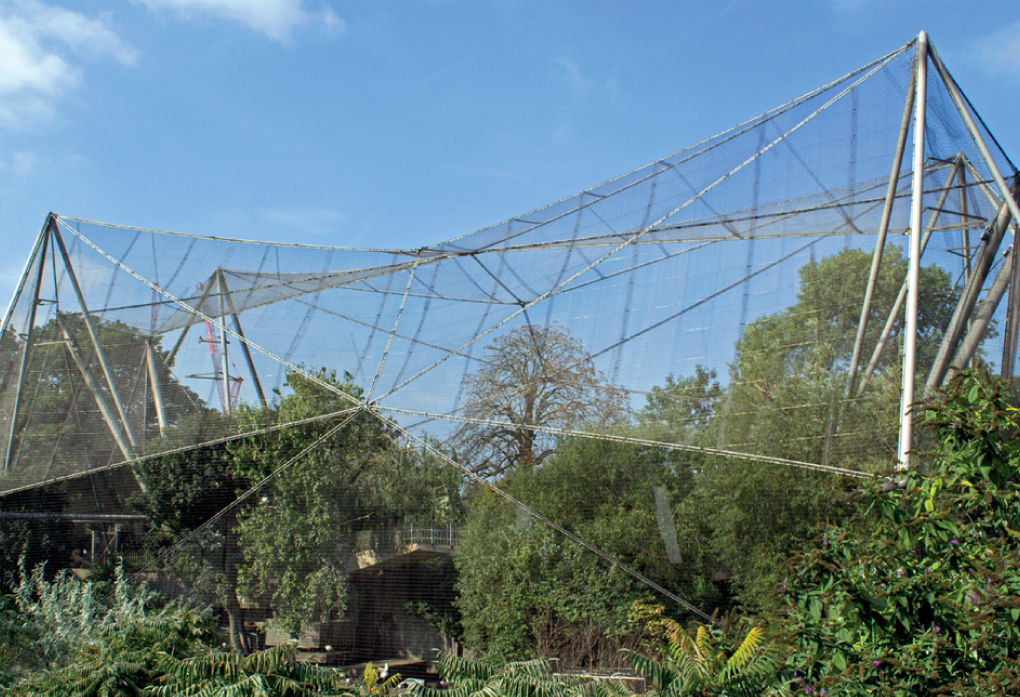 Iconic London Zoo aviary revamp out to bid | Bryson